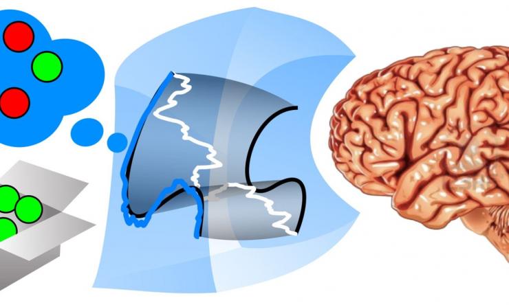 AI helps scientists understand brain activity behind thoughts | BCM AI helps scientists understand brain activity behind thoughts | BCM